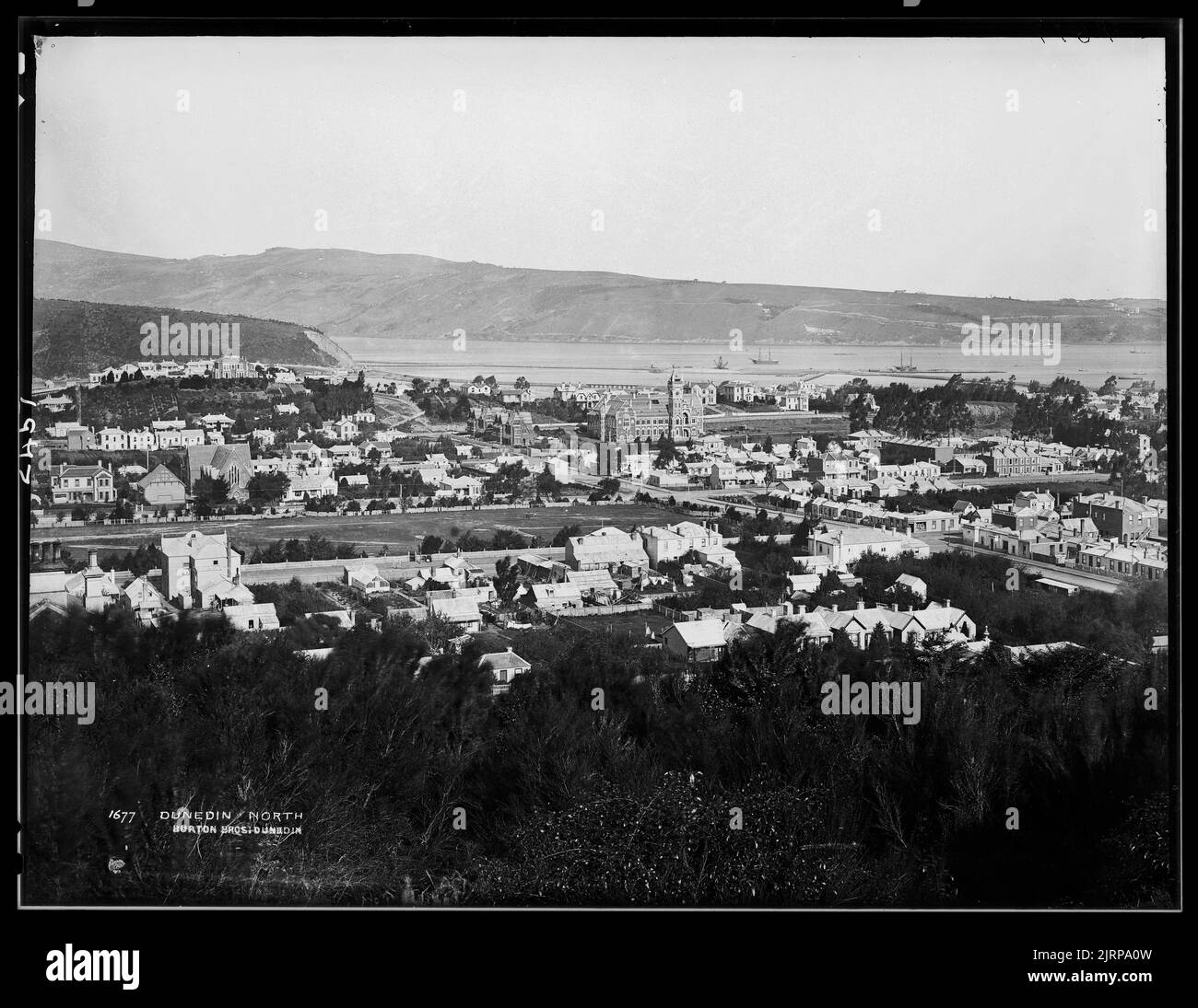 Dunedin new zealand aerial hi-res stock photography and images - Alamy
