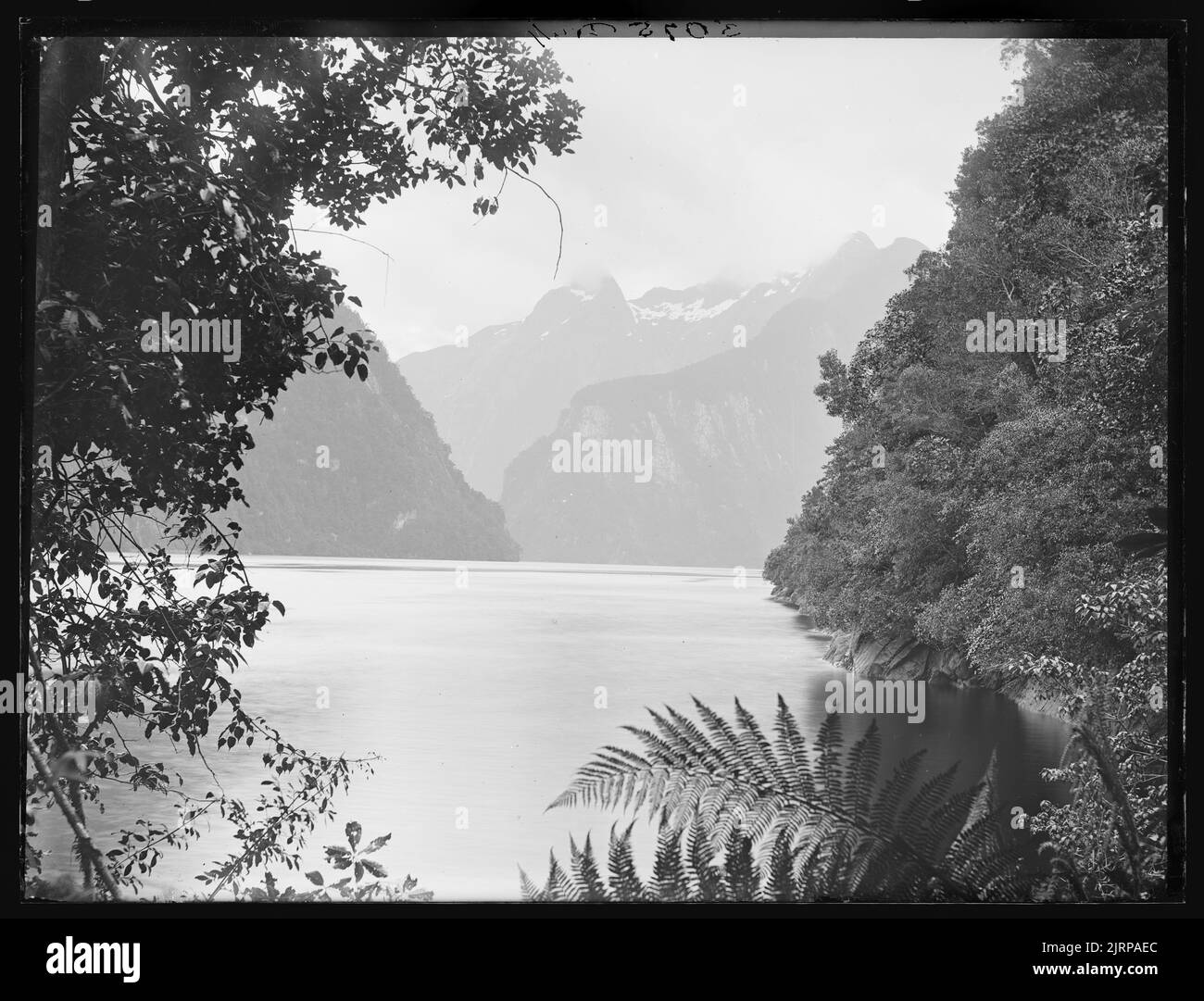 [Smith Sound], 1885, Dunedin, by Burton Brothers, Alfred Burton Stock ...