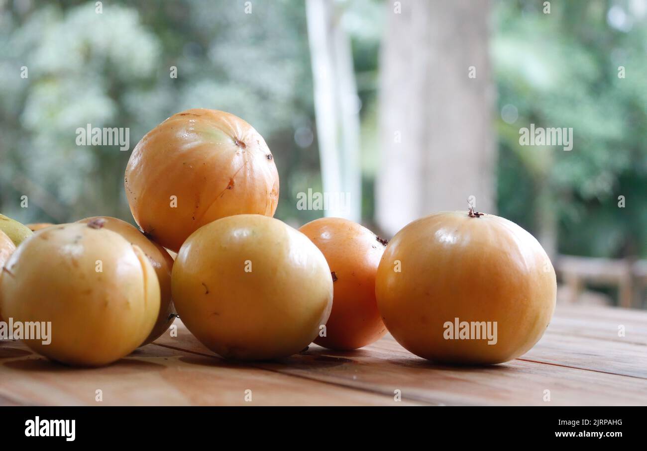 cambucá, is a fruit tree endemic to Brazil and native to the coastal ...