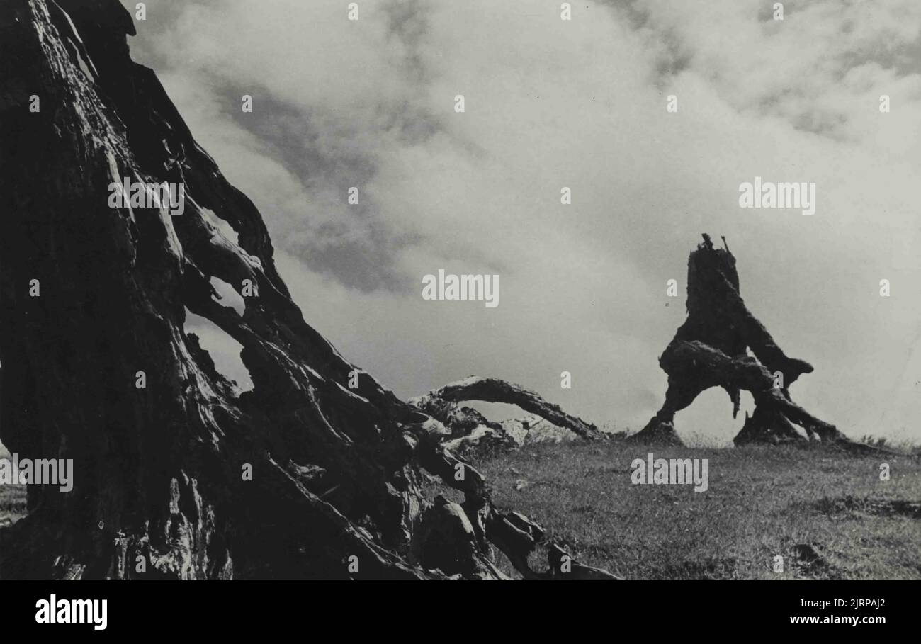 Waipukurau landscape from Pukeora Sanatorium, August 1939, Hawke's Bay ...