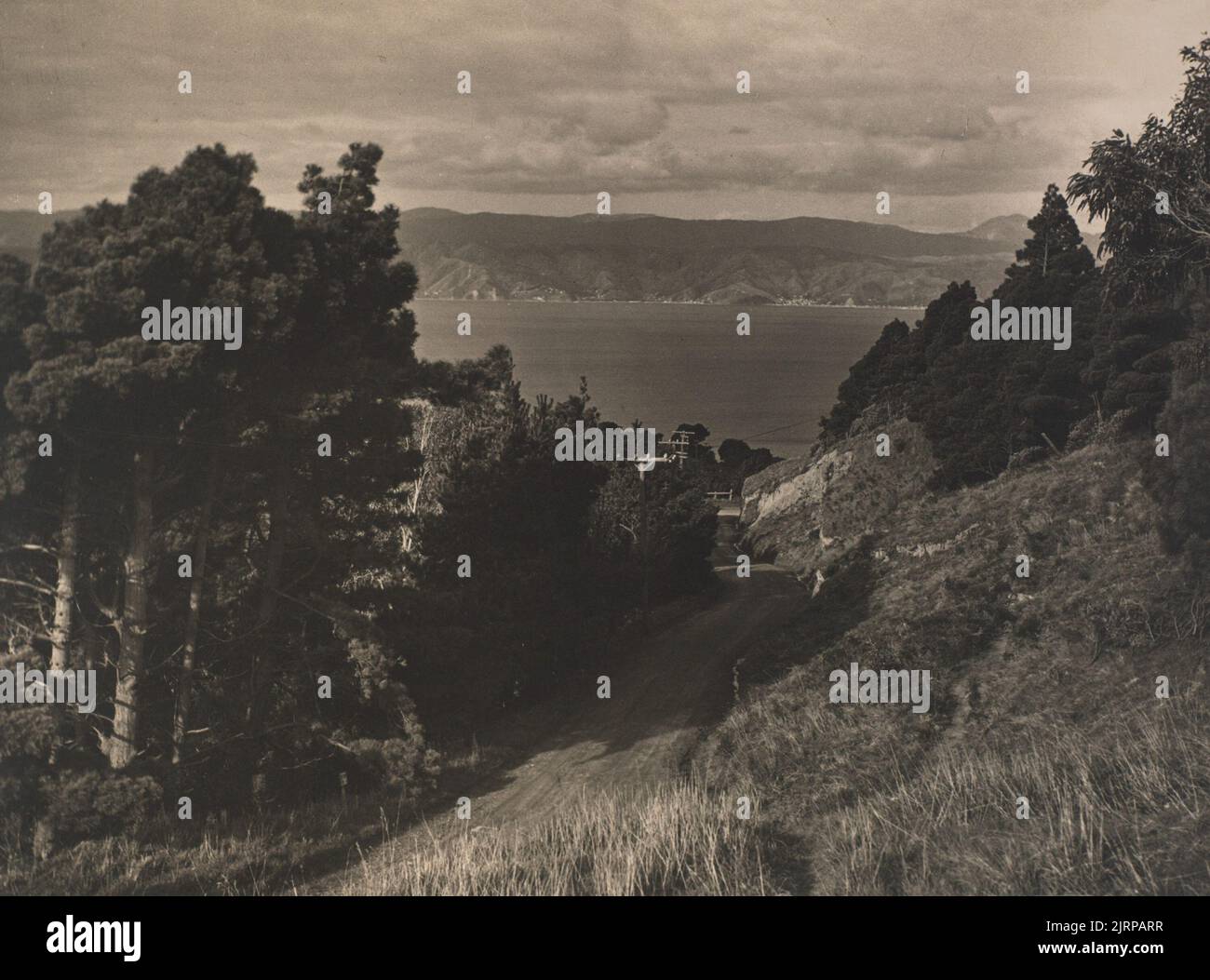 The Bridle Track, Khandallah , Wellington, by J.W. Chapman-Taylor Stock ...