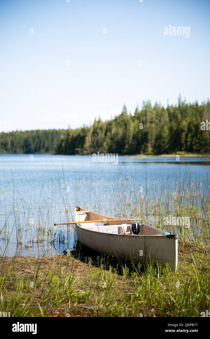A vertical shot of a canoe on the beach of a lake, Canada Stock Photo ...