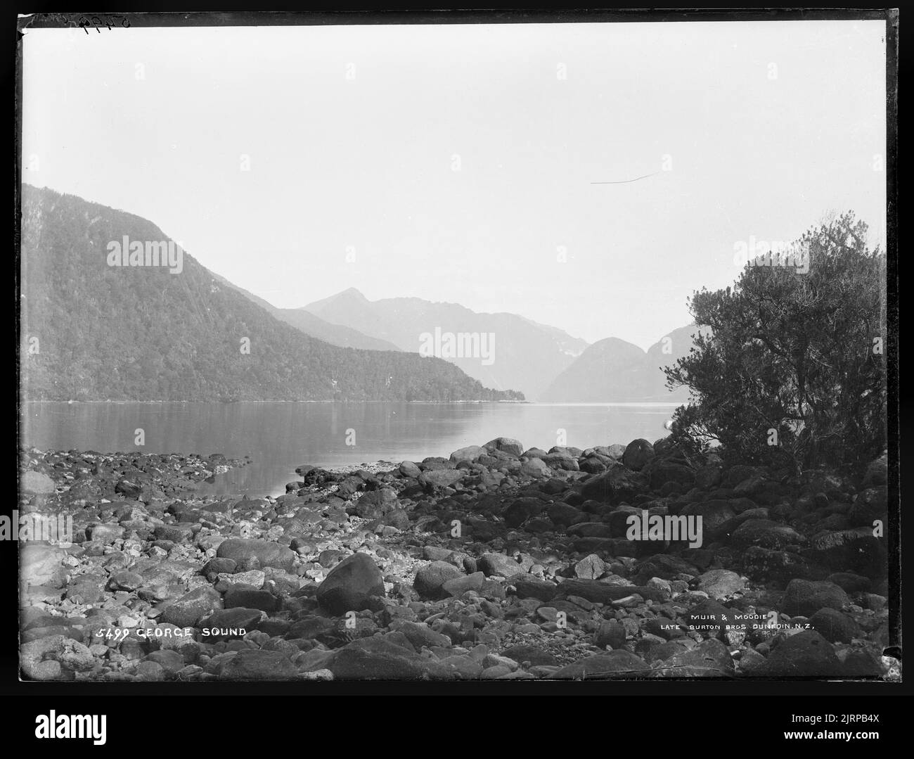 George Sound, 1893, Dunedin, by Burton Brothers, George Moodie Stock ...
