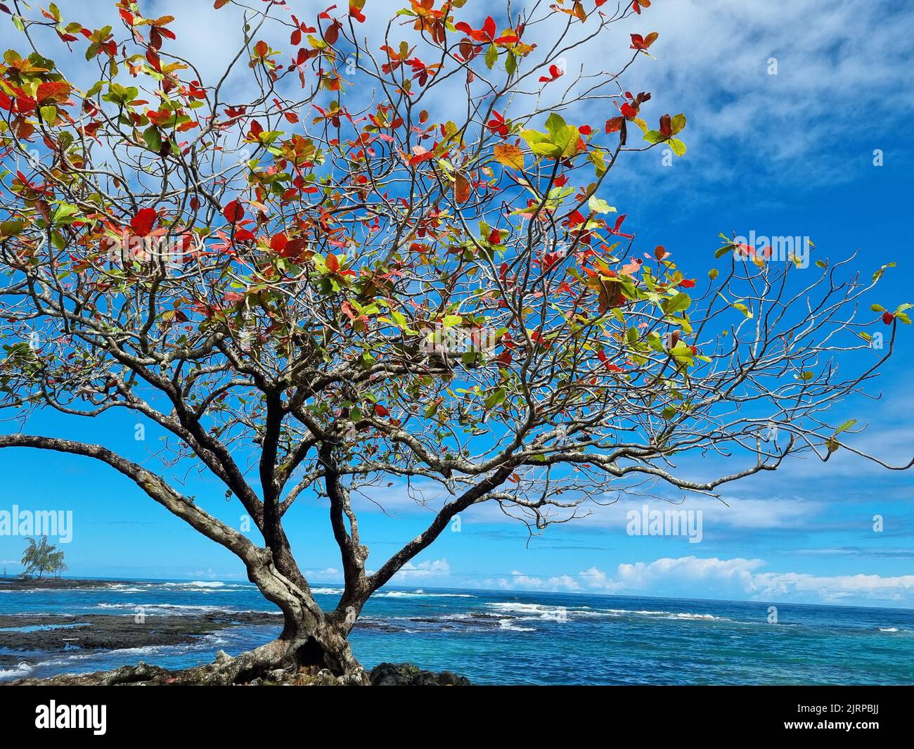 Amazing landscapes of Big Island Hawaii Views of Hawaii Stock Photo - Alamy