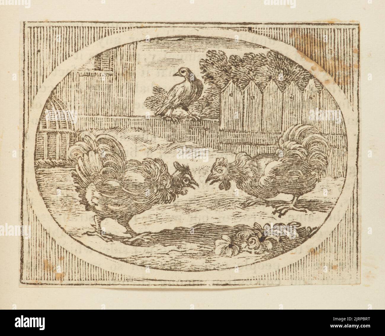 Wood engraving, England, by Thomas Bewick Stock Photo - Alamy