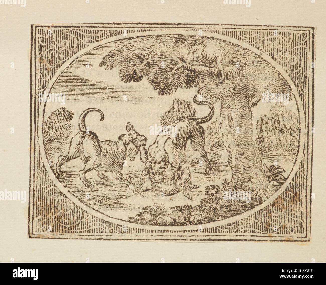 Engraving linework hi-res stock photography and images - Alamy