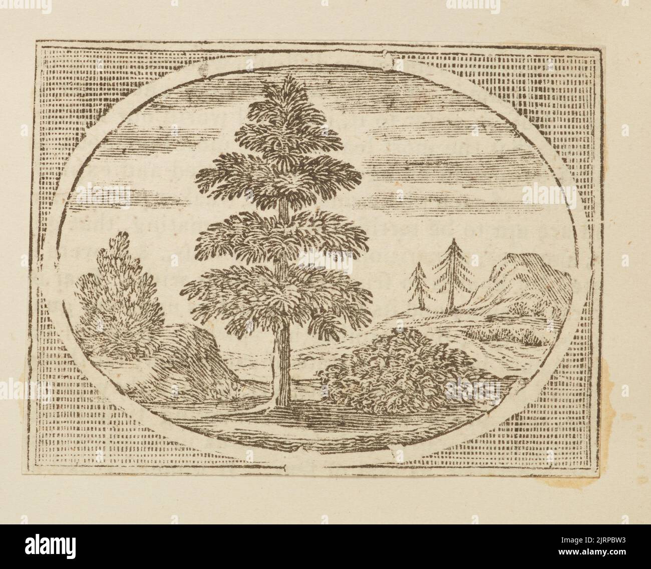 Wood engraving, England, by Thomas Bewick Stock Photo - Alamy
