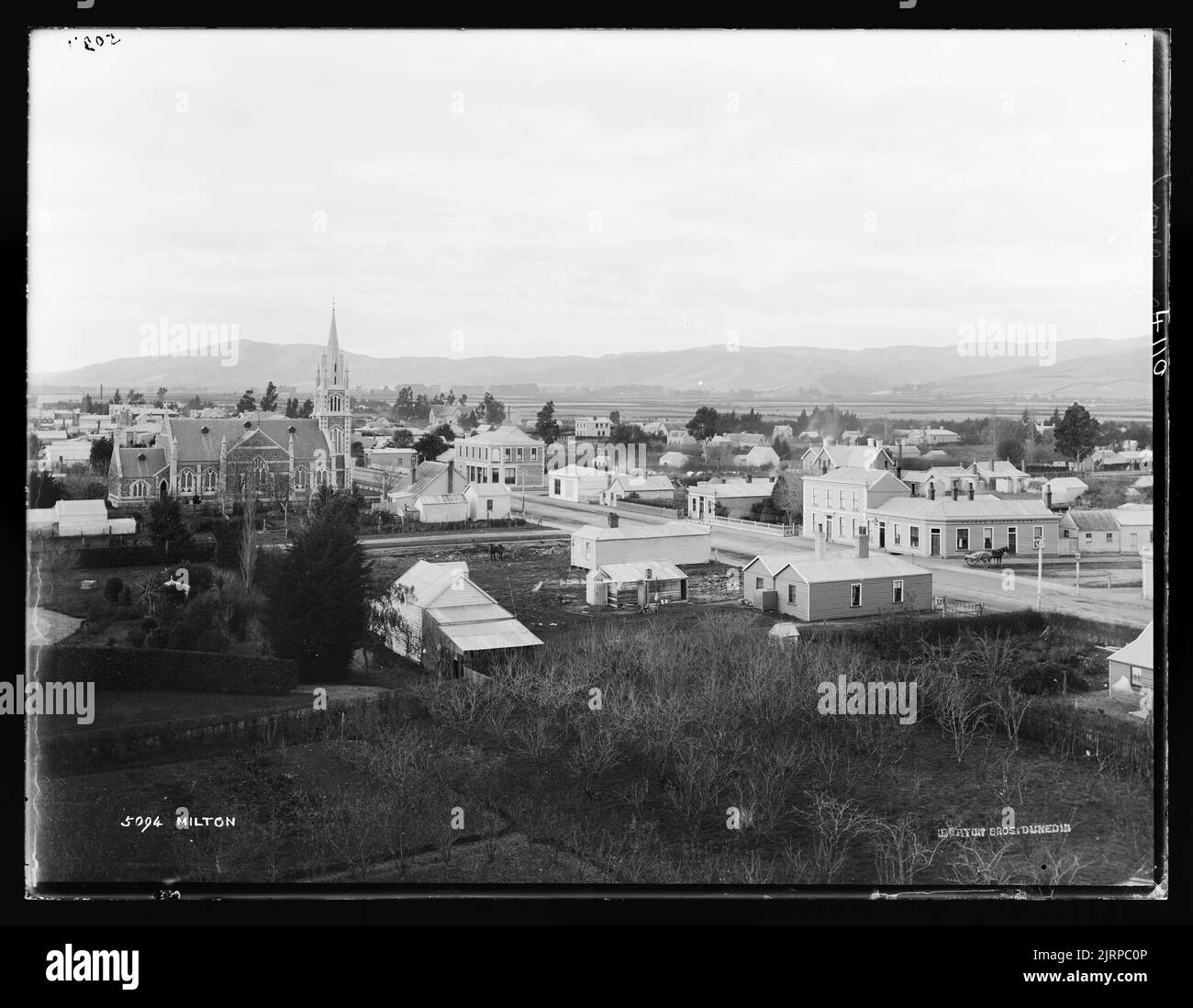 Milton, 1880s, Dunedin, by Burton Brothers Stock Photo - Alamy