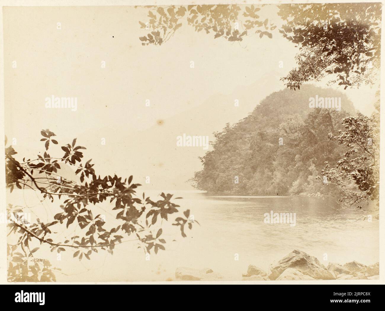 Untitled. From the album: Views of New Zealand Scenery, circa 1880, New ...
