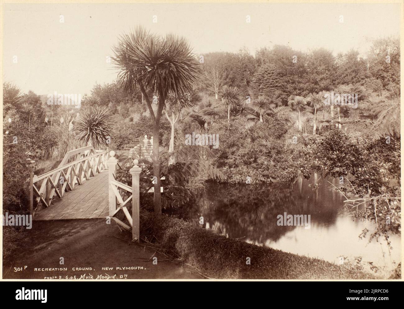 Recreation Ground - New Plymouth, 1905, Dunedin, by Muir & Moodie Stock ...