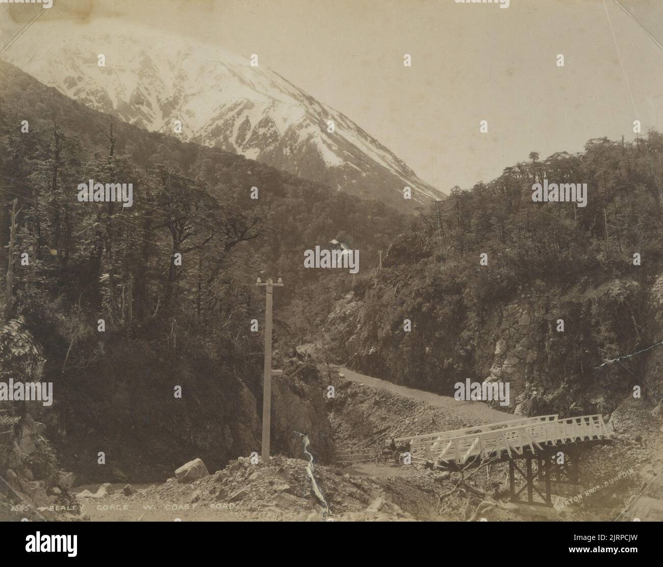 Bealey Gorge, West Coast Road, 1880s, by Burton Brothers Stock Photo ...
