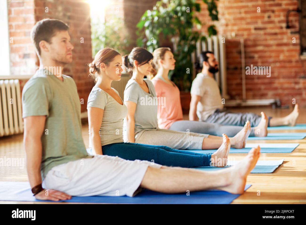 group of people doing yoga staff pose at studio Stock Photo - Alamy