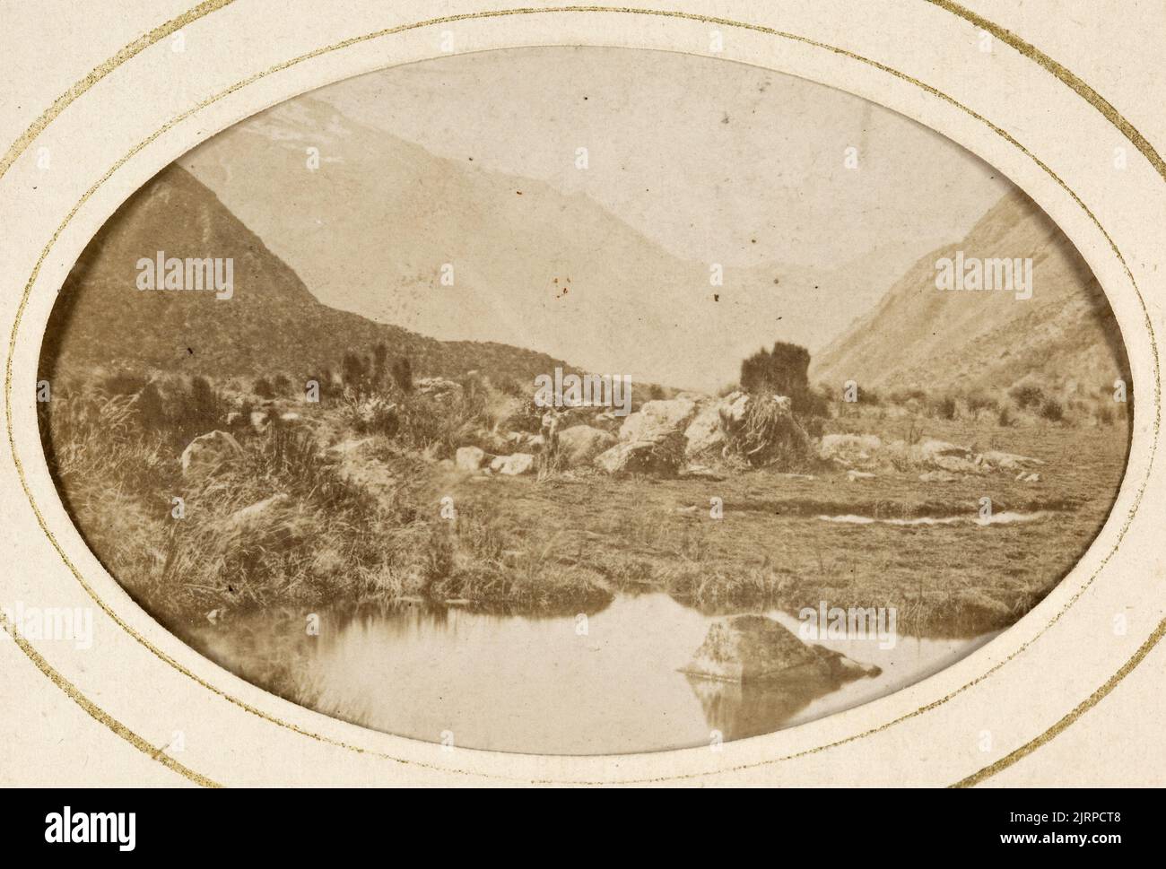 Landscape scene, circa 1870, Dunedin, by Burton Brothers Stock Photo ...