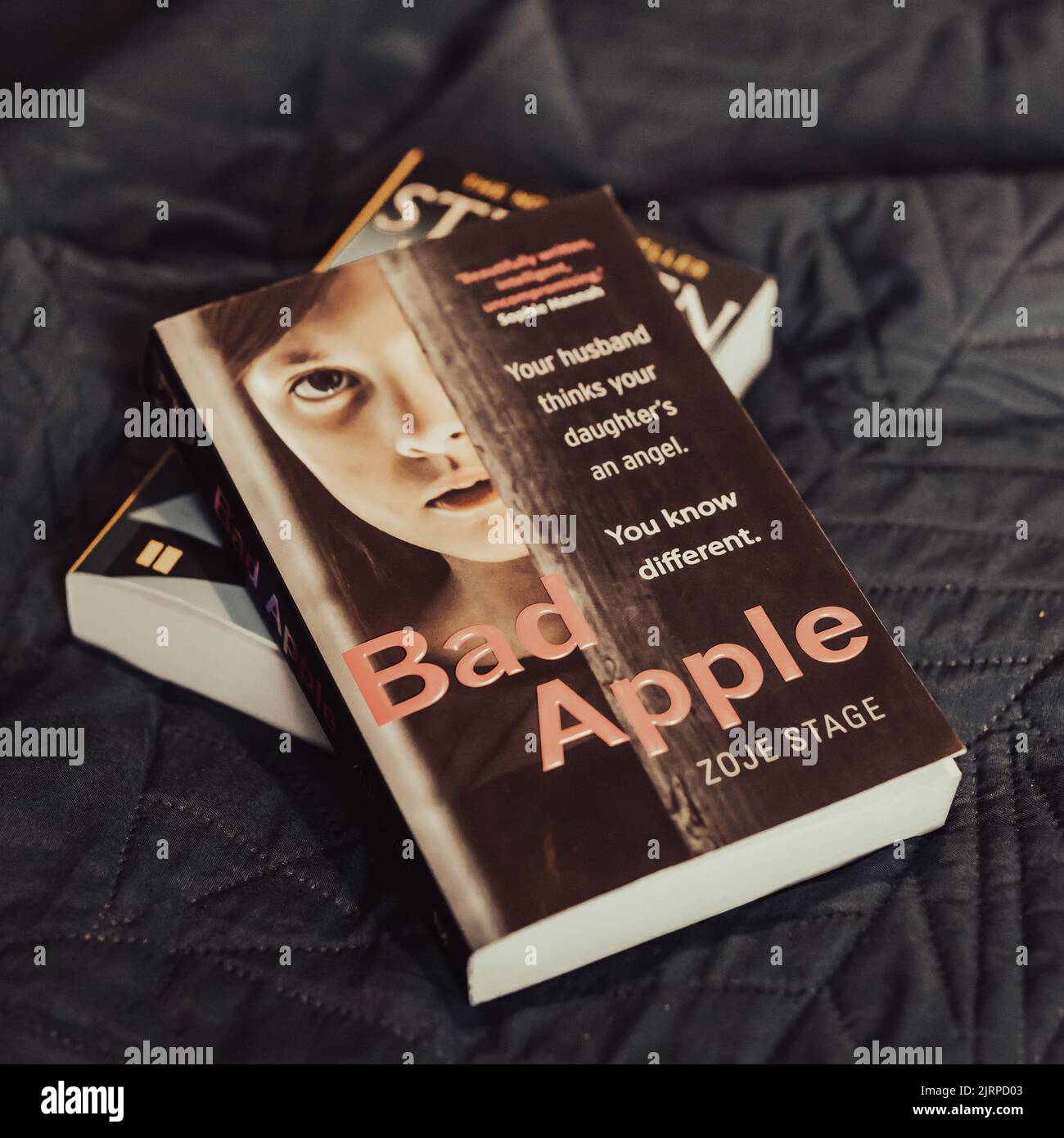 A closeup of Zoje Stage's Bad Apple novel laying on a dark gray bed ...