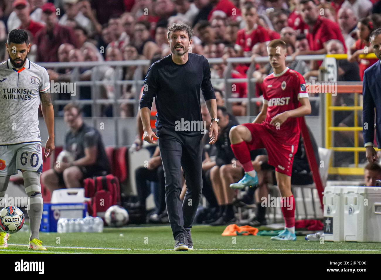 ANTWERP, BELGIUM - AUGUST 25: head coach Mark van Bommel of Royal ...