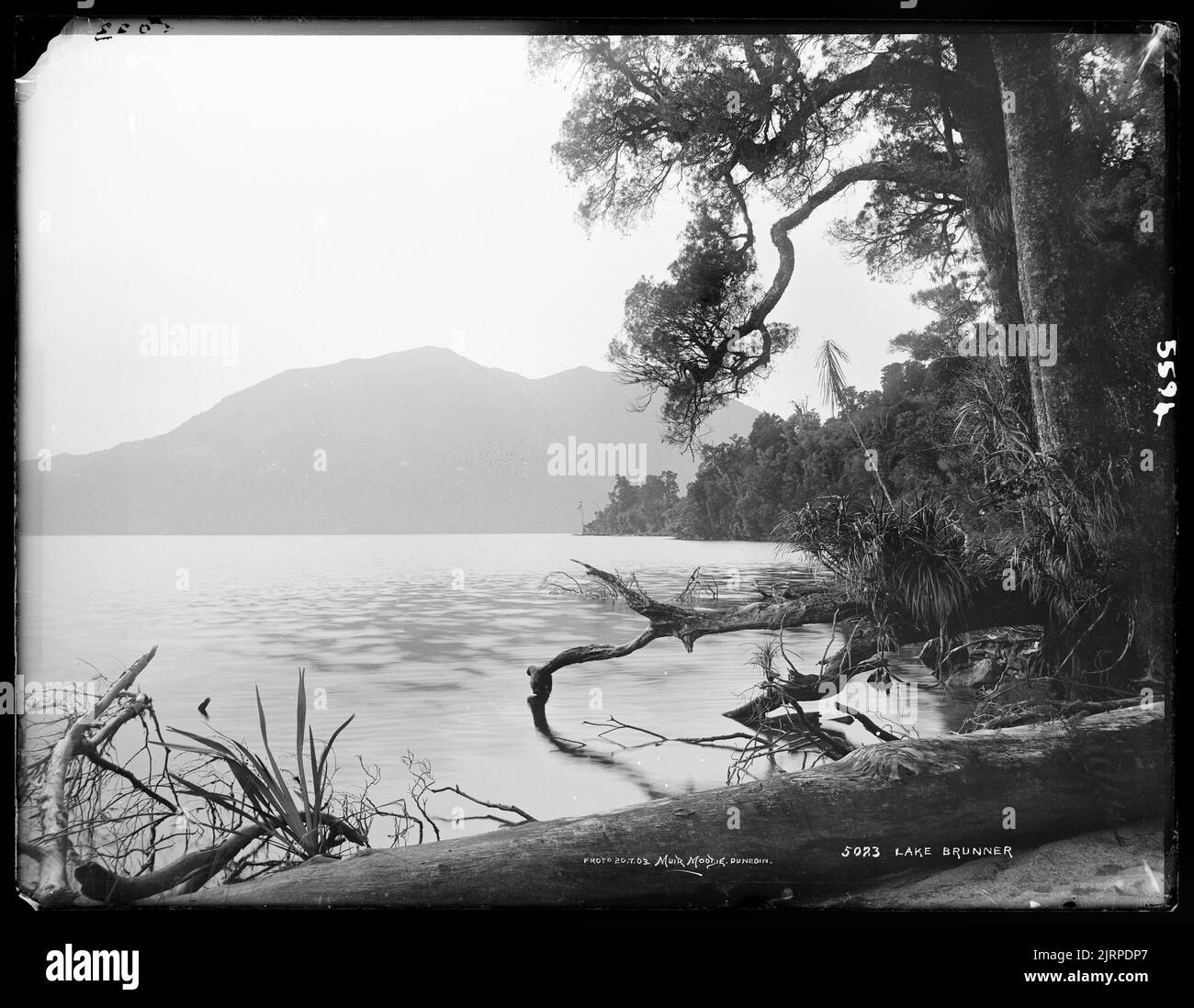 Lake Brunner, New Zealand, by Burton Brothers Stock Photo - Alamy