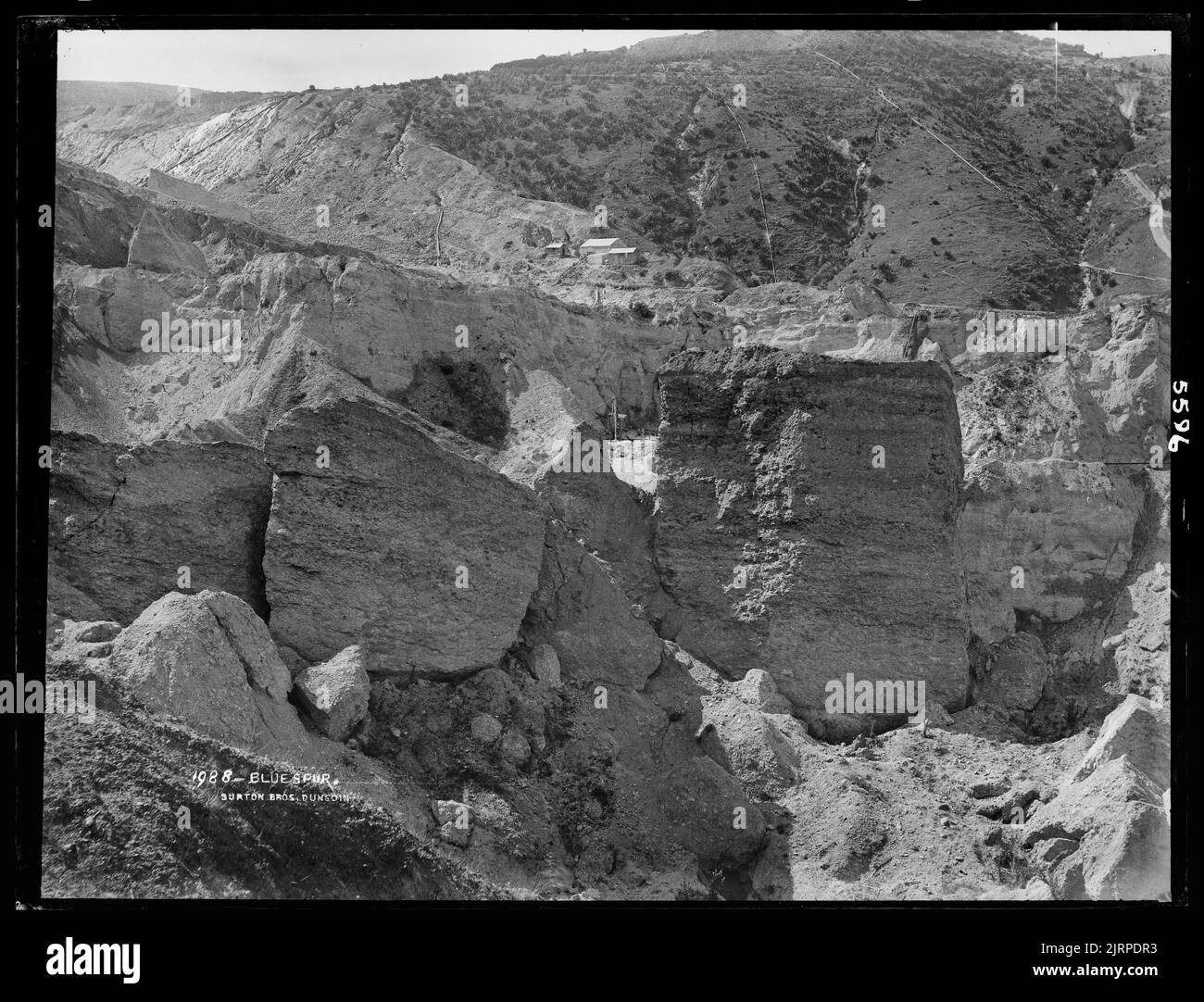 Blue brothers Black and White Stock Photos & Images - Alamy