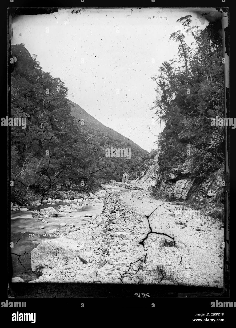 The bealey gorge the bealey gorge hi-res stock photography and images ...