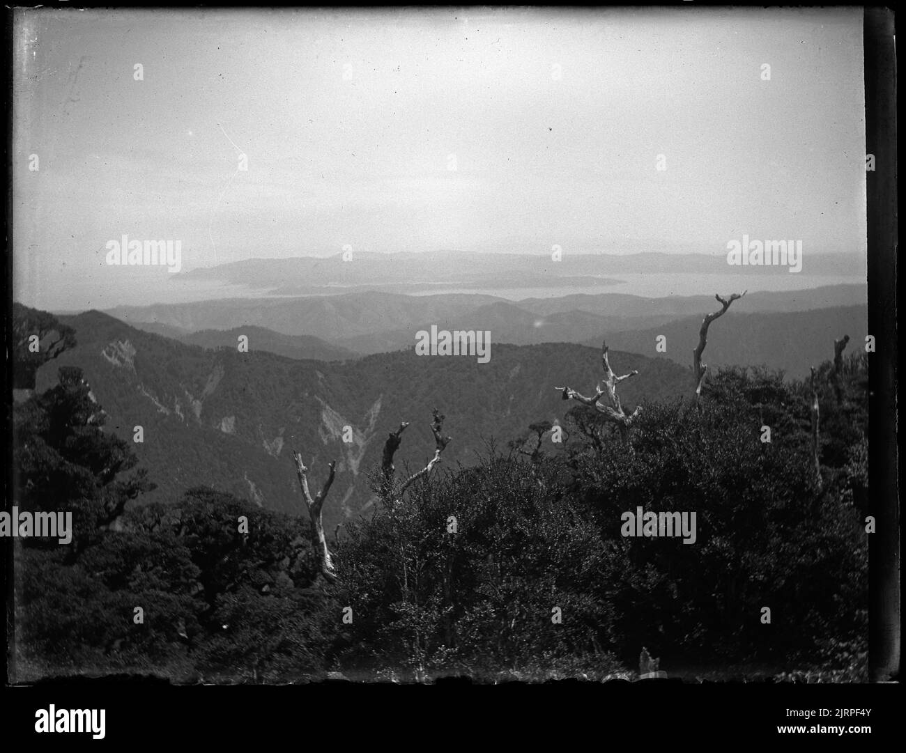 Cheslyn Rise, Levin, by Leslie Adkin Stock Photo - Alamy