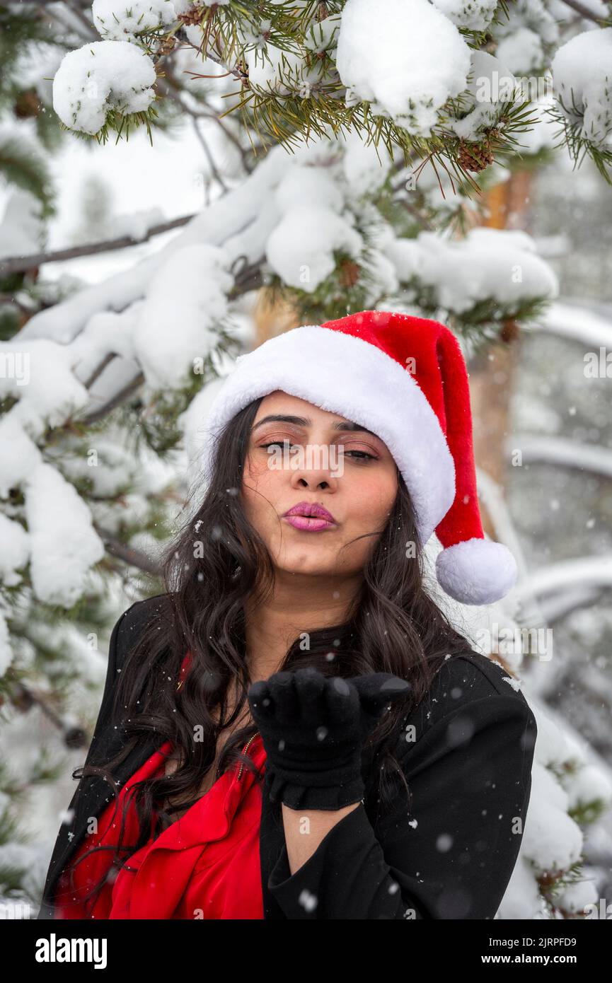 Pretty brunette in Santa hat in front of snowy trees Stock Photo - Alamy