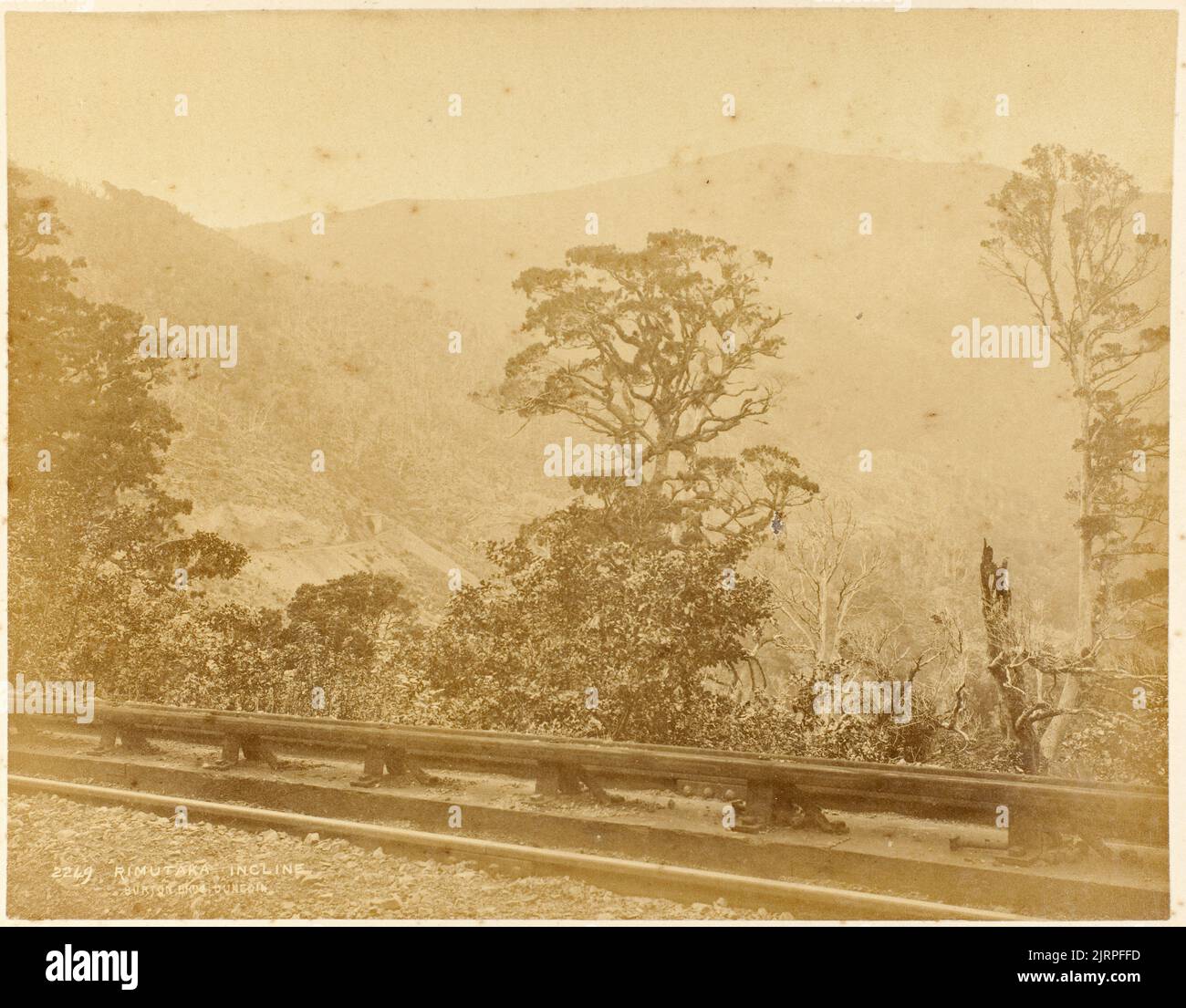 Rimutaka Incline. From the album: N.Z. Scenery, circa 1880, Wellington ...