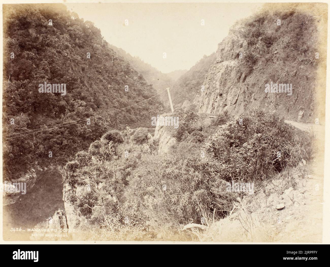 Manawatu Gorge. From the album: Views of New Zealand Scenery, circa ...