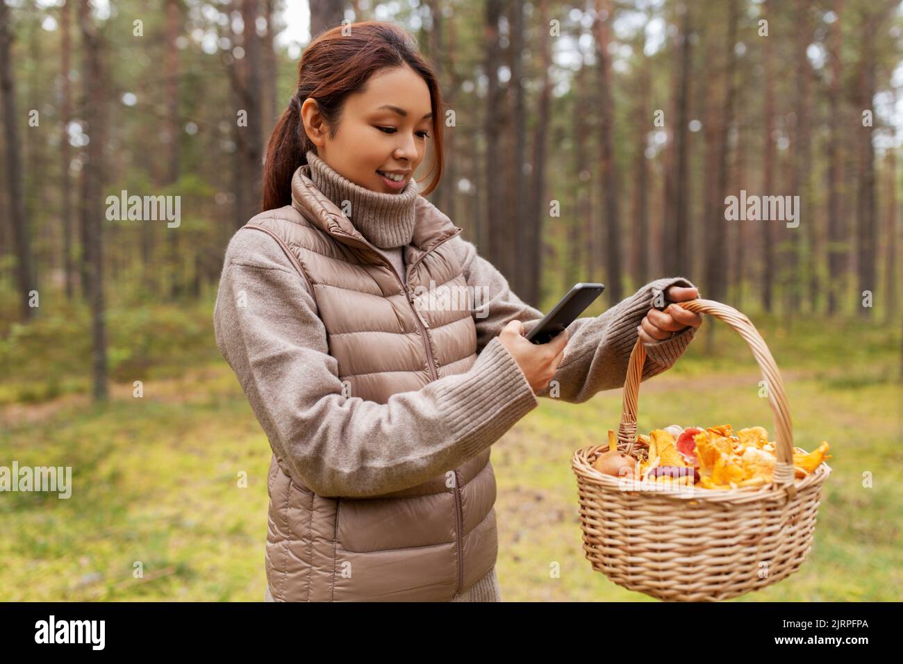 asian woman using smartphone to identify mushroom Stock Photo - Alamy