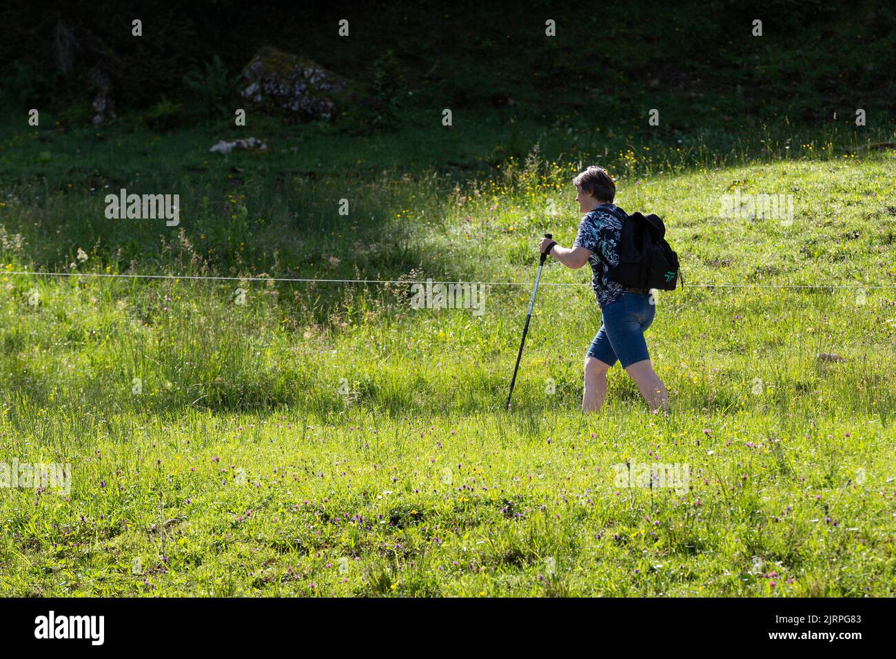 Wanderer model hi-res stock photography and images - Alamy