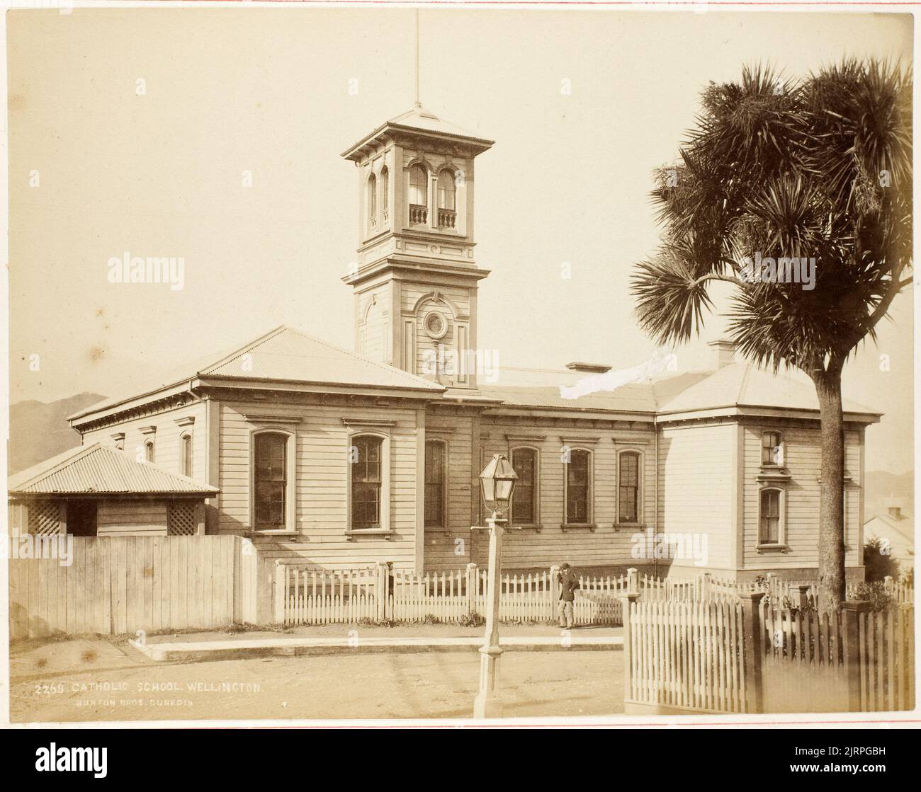Catholic School, Wellington, 1800s, Dunedin, by Burton Brothers Stock ...