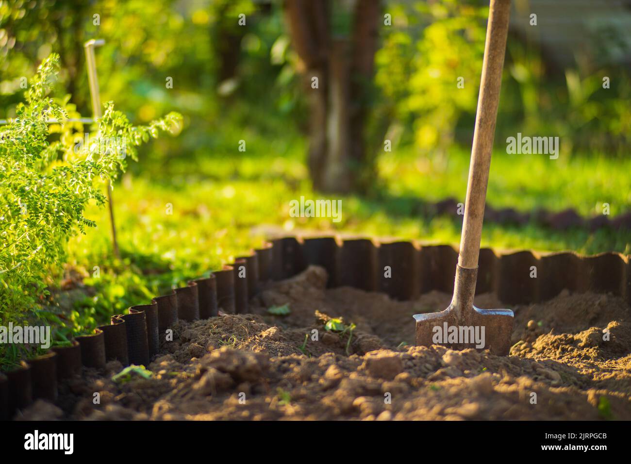 Farmer's garden tool - shovel. Gardening concept. Agricultural work on ...