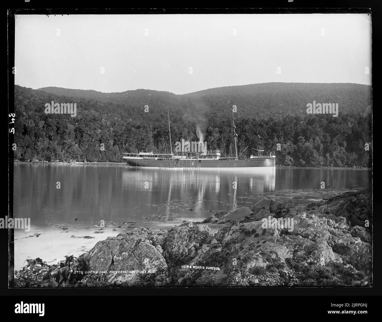 Cuttle Cove, Preservation Inlet, NZ Stock Photo - Alamy