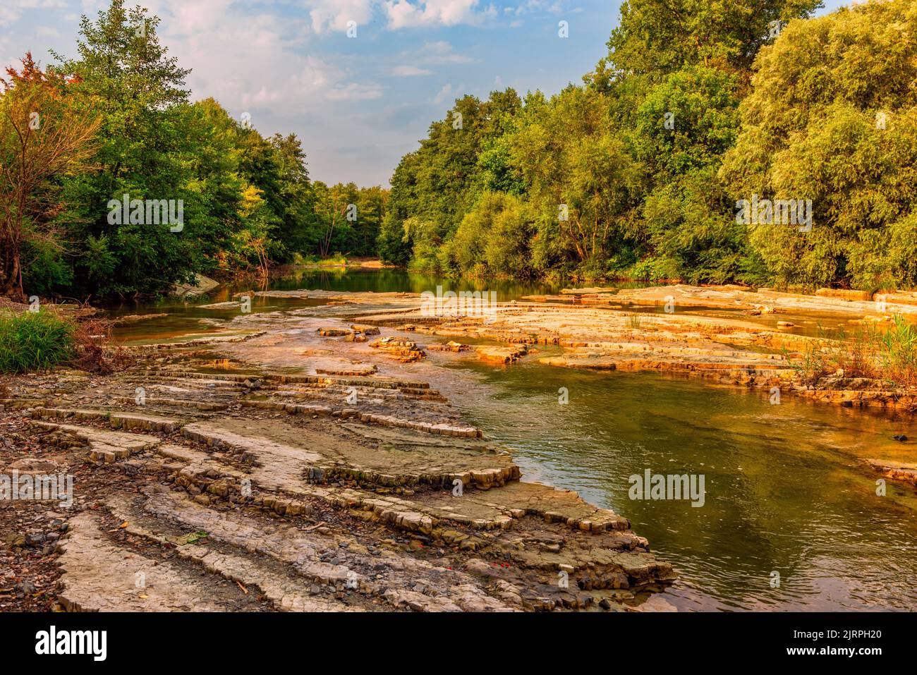 Trees in shallow river no people hi-res stock photography and images ...