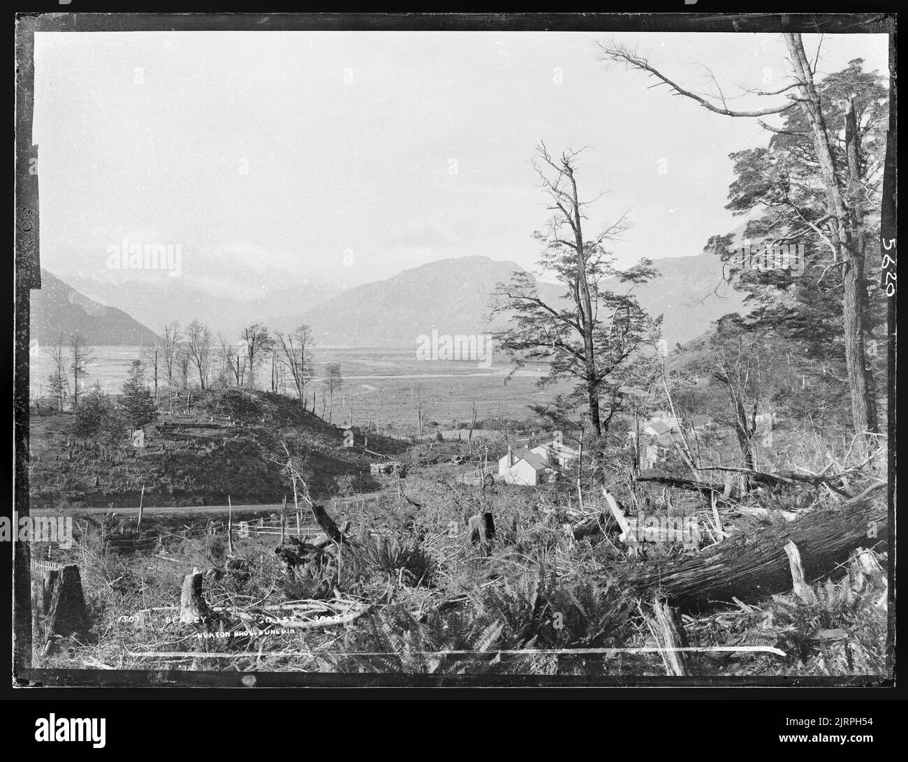 West coast road bealey hi-res stock photography and images - Alamy