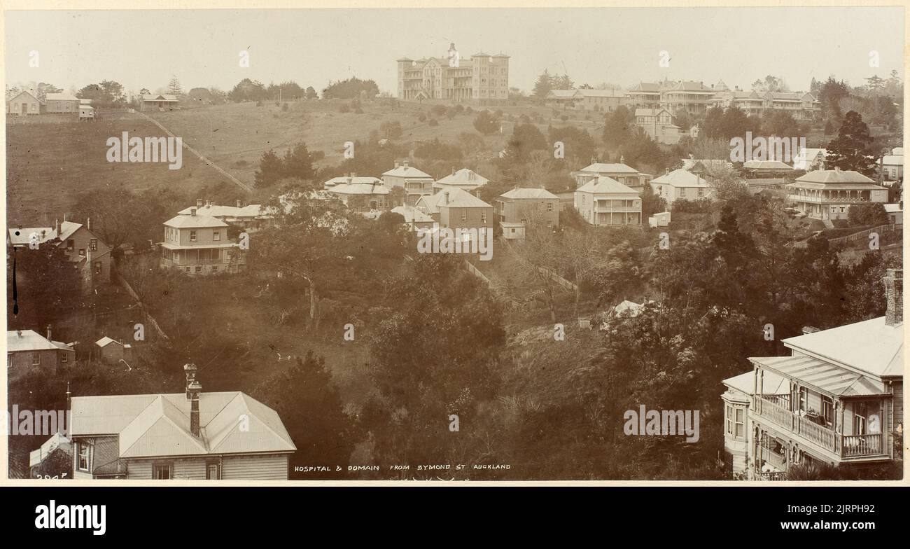 Hospital & Domain from Symond St. Auckland, 1905, Dunedin, by Muir ...