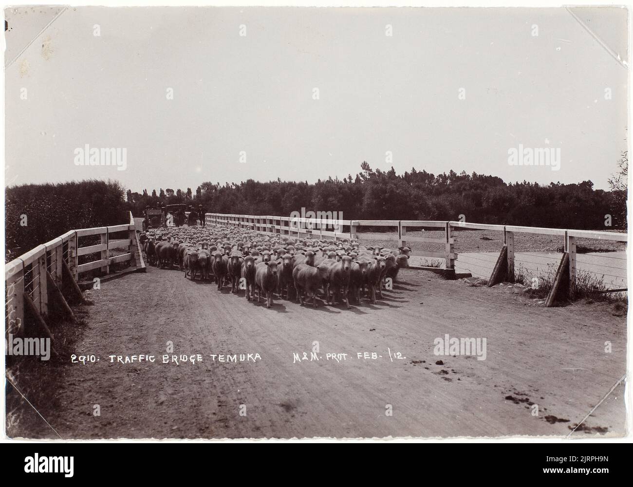 Temuka hi-res stock photography and images - Alamy