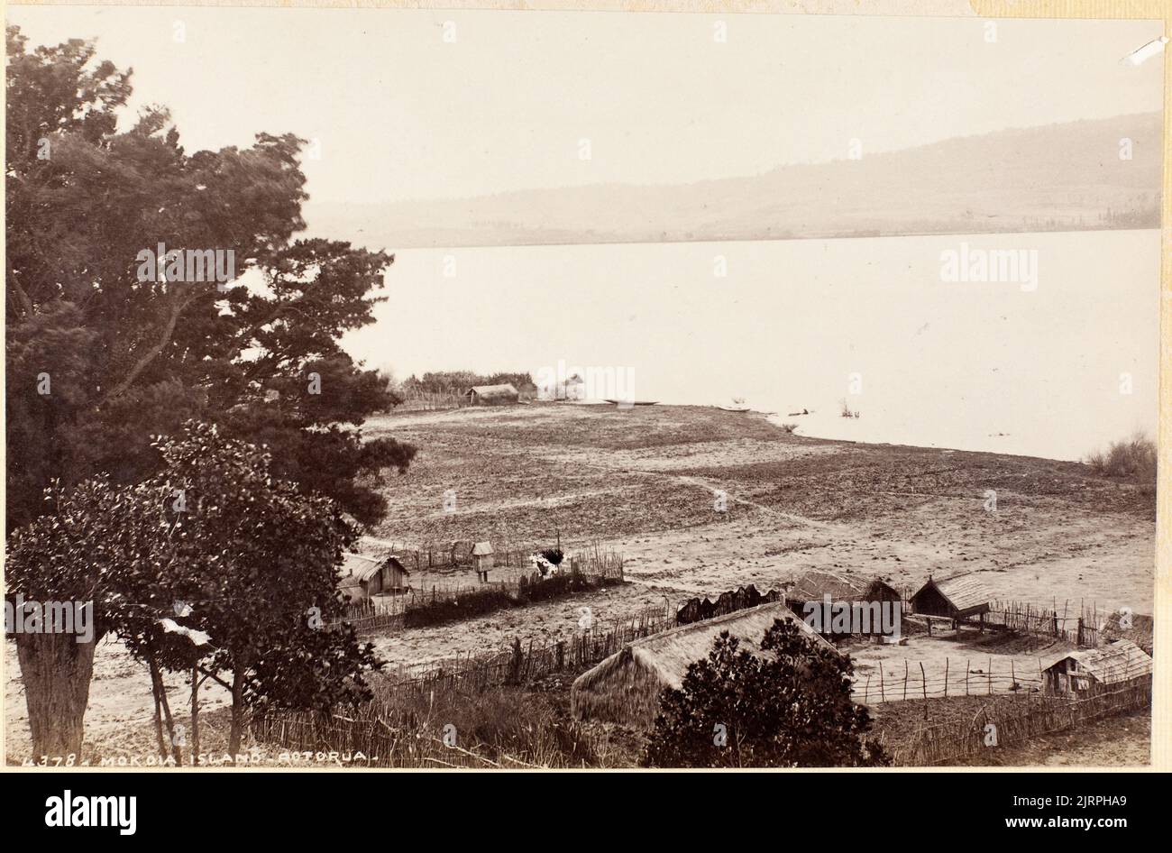 Mokoia Island - Rotorua, circa 1887, Dunedin, by Burton Brothers Stock ...