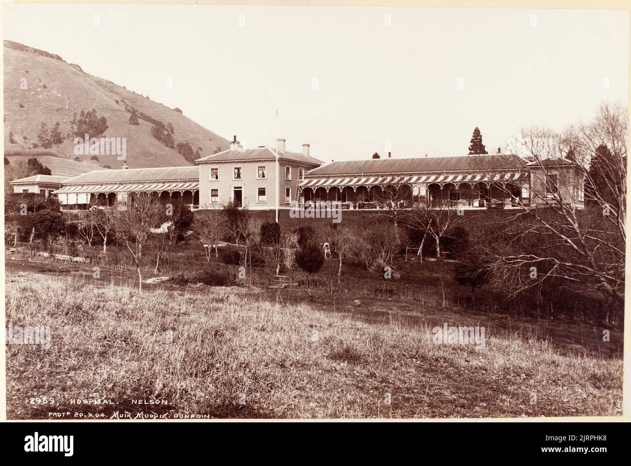 Hospital, Nelson, 1904, Dunedin, by Muir & Moodie Stock Photo - Alamy