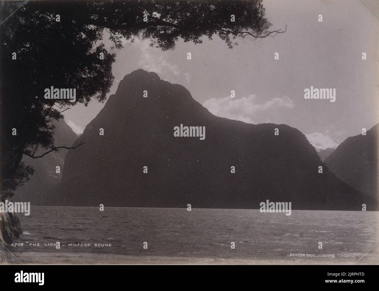 "The Lion", Milford Sound, circa 1888, by Burton Brothers Stock Photo ...