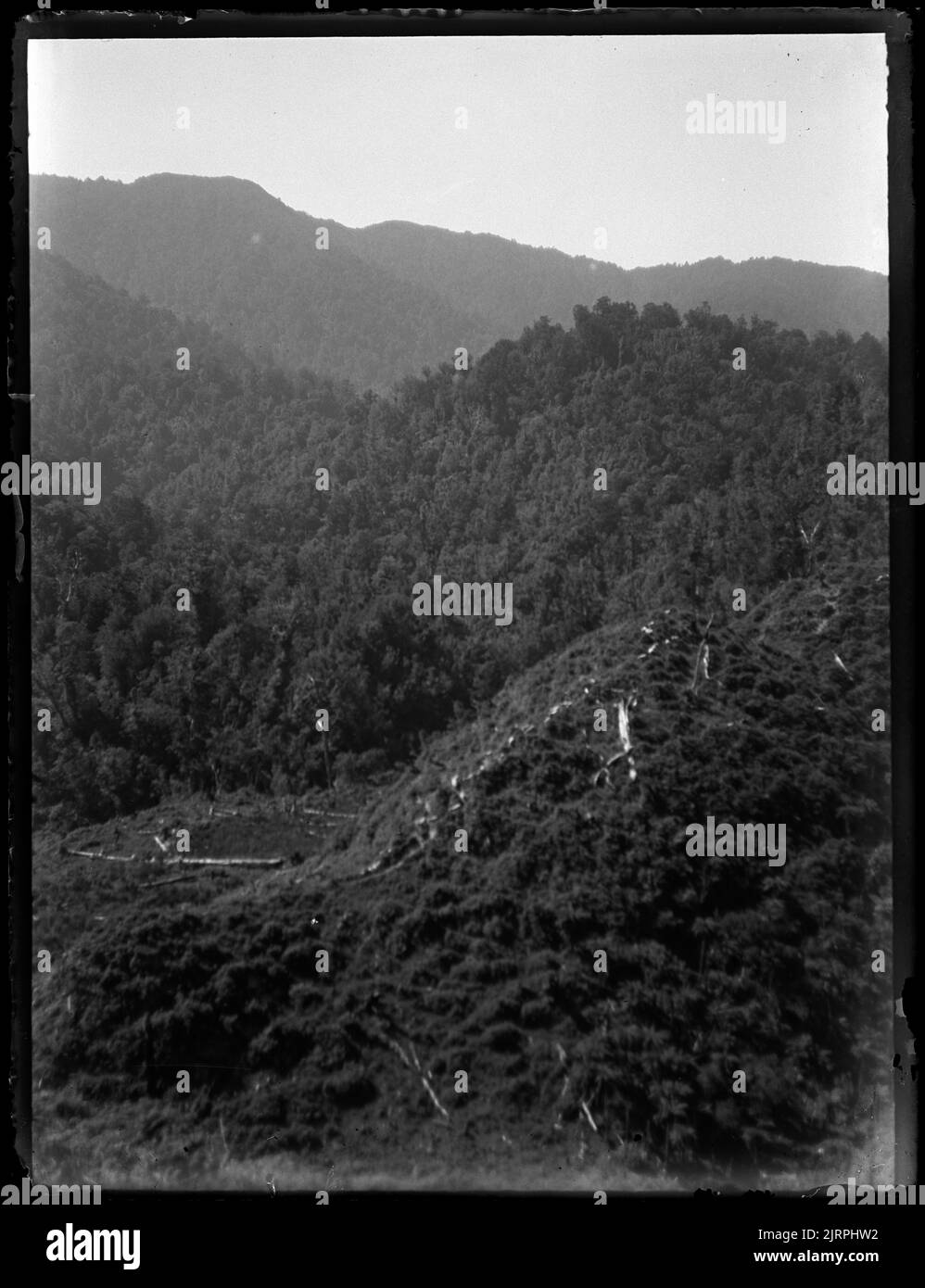 Cheslyn Rise, Levin, by Leslie Adkin Stock Photo - Alamy