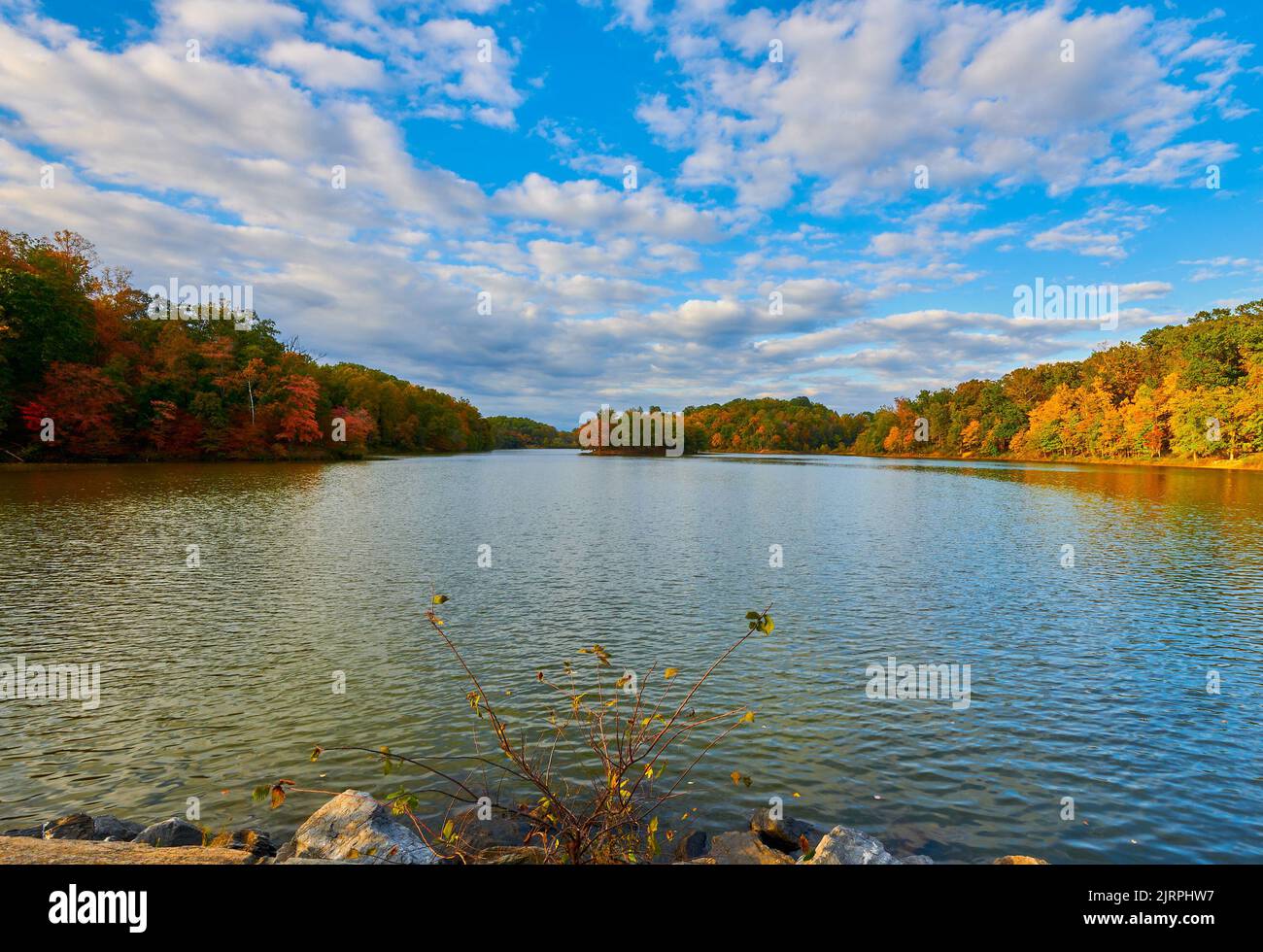 Needwood forest hi-res stock photography and images - Alamy