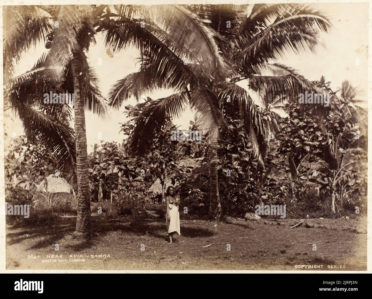 Near Apia - Samoa. From the album: Views of New Zealand Scenery, circa ...