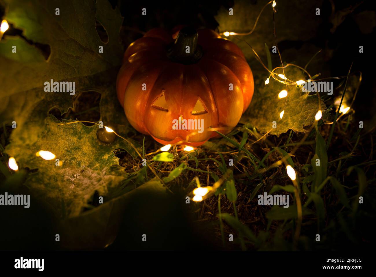 Halloween pumpkin lit on grass and leaves surrounded by string lights ...