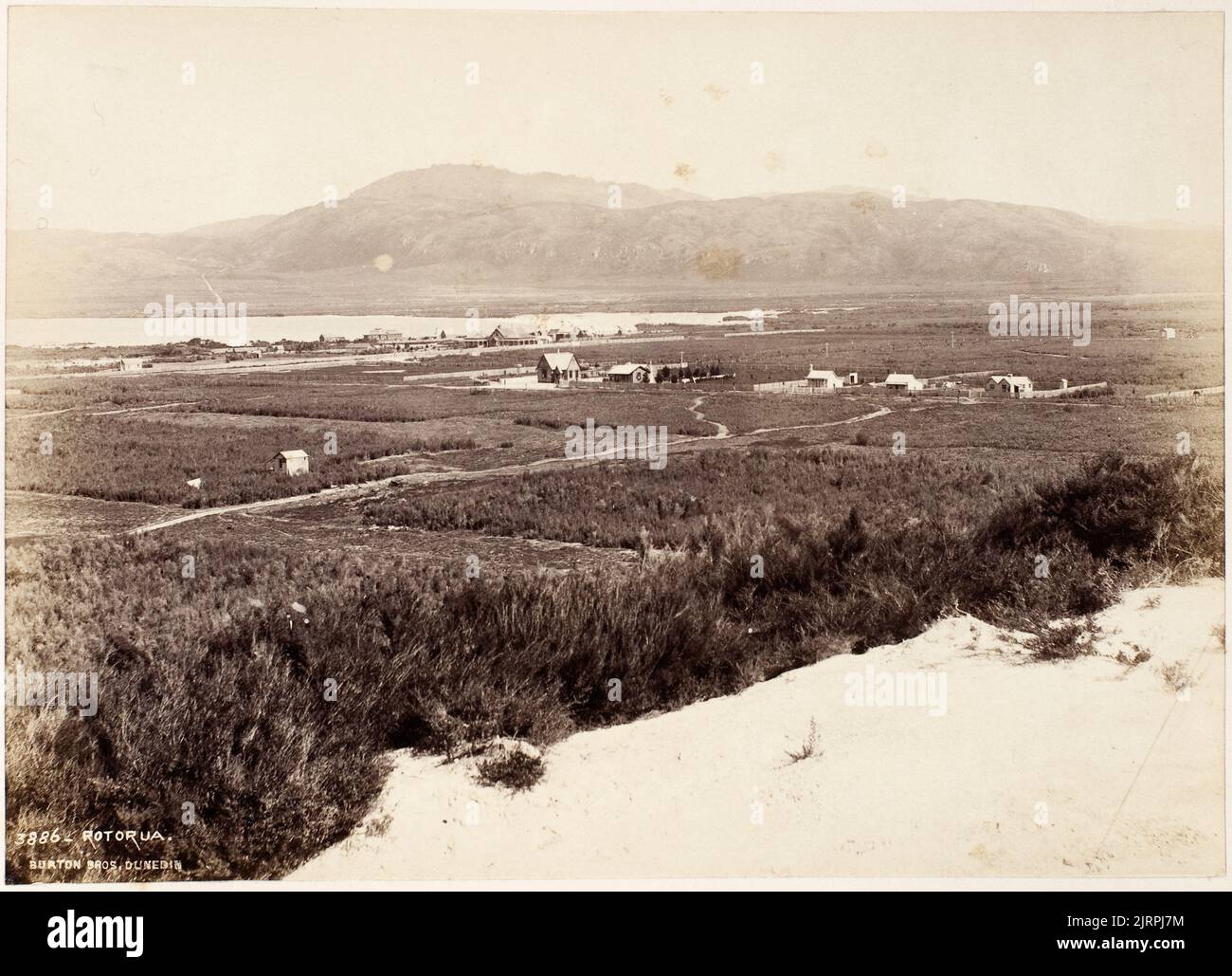 Rotorua, Dunedin, by Burton Brothers Stock Photo - Alamy