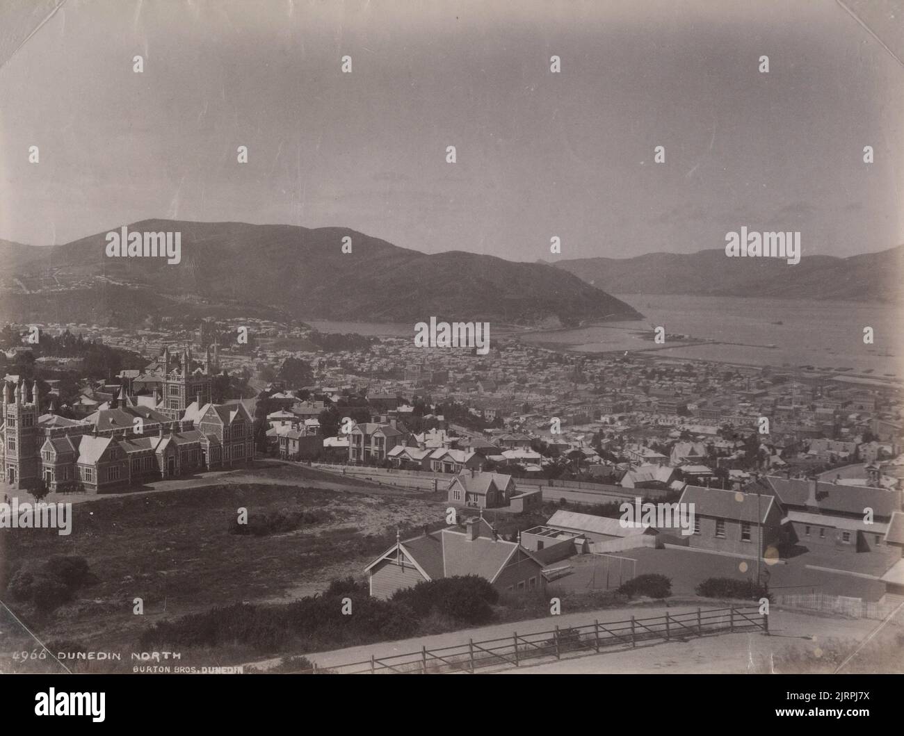 Dunedin North, 1880s, by Burton Brothers Stock Photo - Alamy