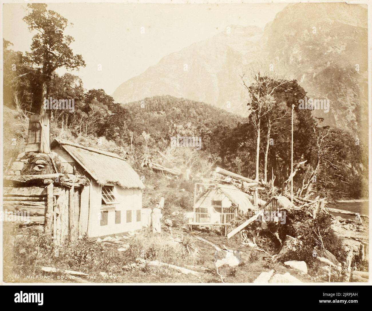 Milford Sound - The "City", 1882, Dunedin, by Burton Brothers, Alfred ...