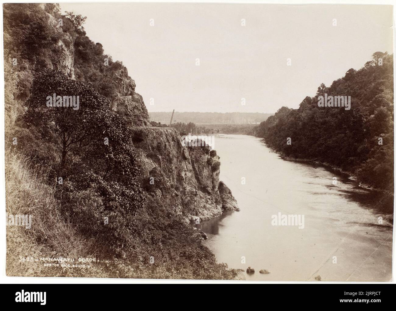 New zealand manawatu gorge hi-res stock photography and images - Alamy