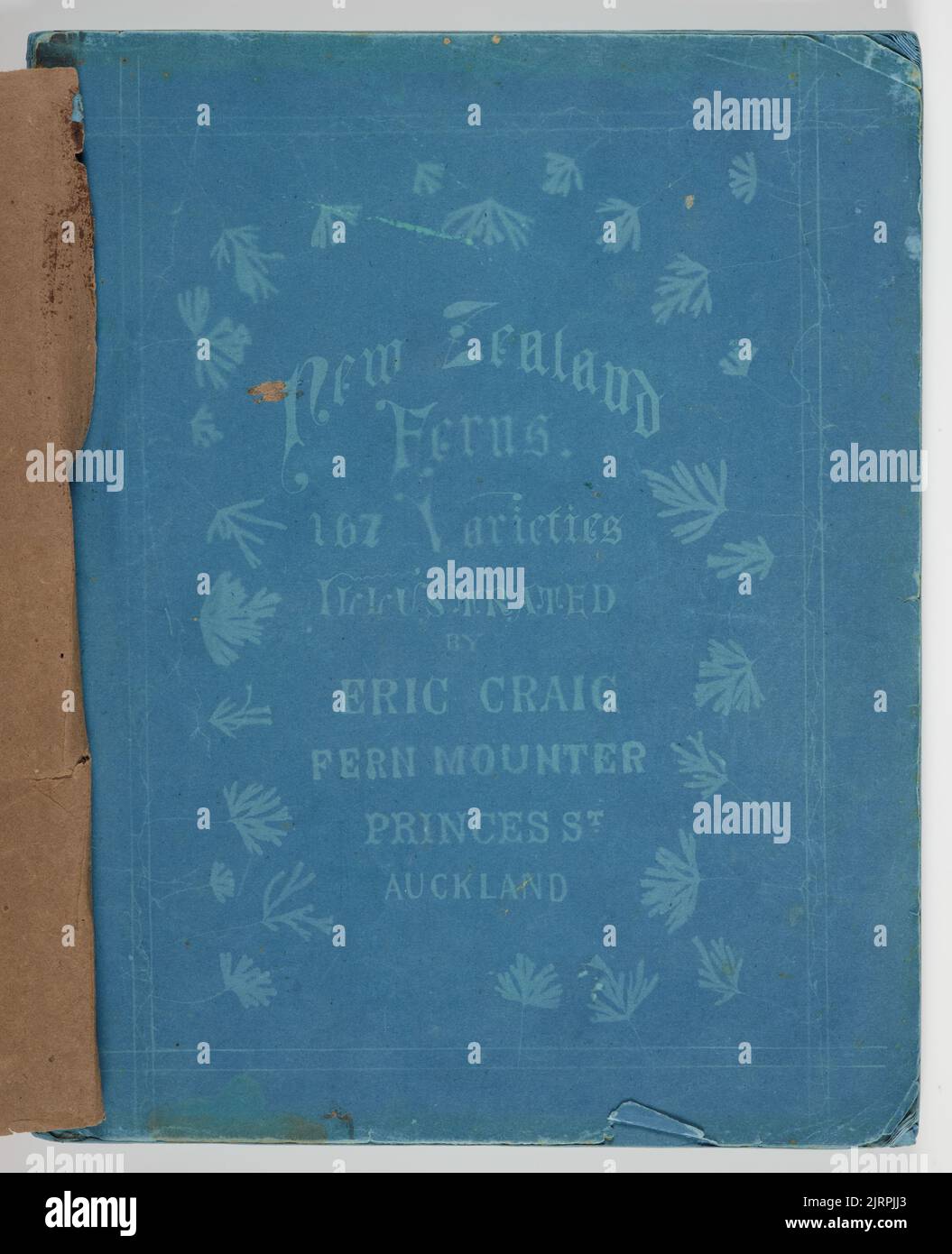 New Zealand ferns. 167 varieties, 1888, Auckland, by Eric Craig ...