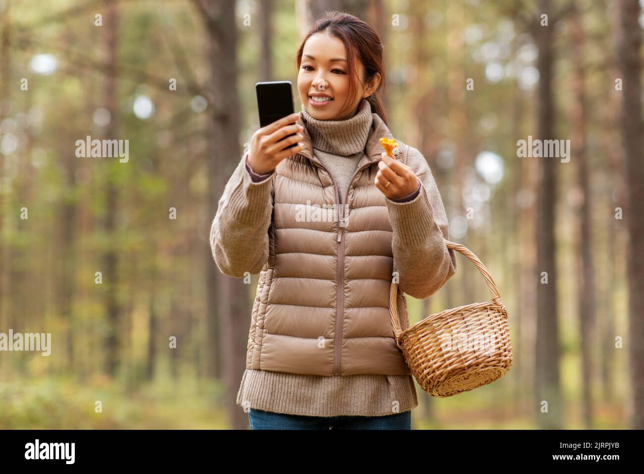 asian woman using smartphone to identify mushroom Stock Photo - Alamy