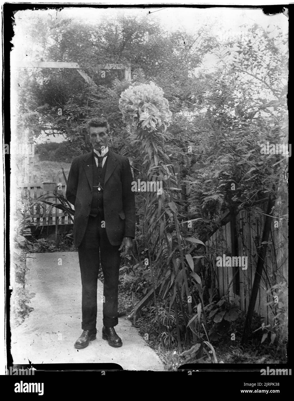 Shrubbery Black and White Stock Photos & Images - Alamy