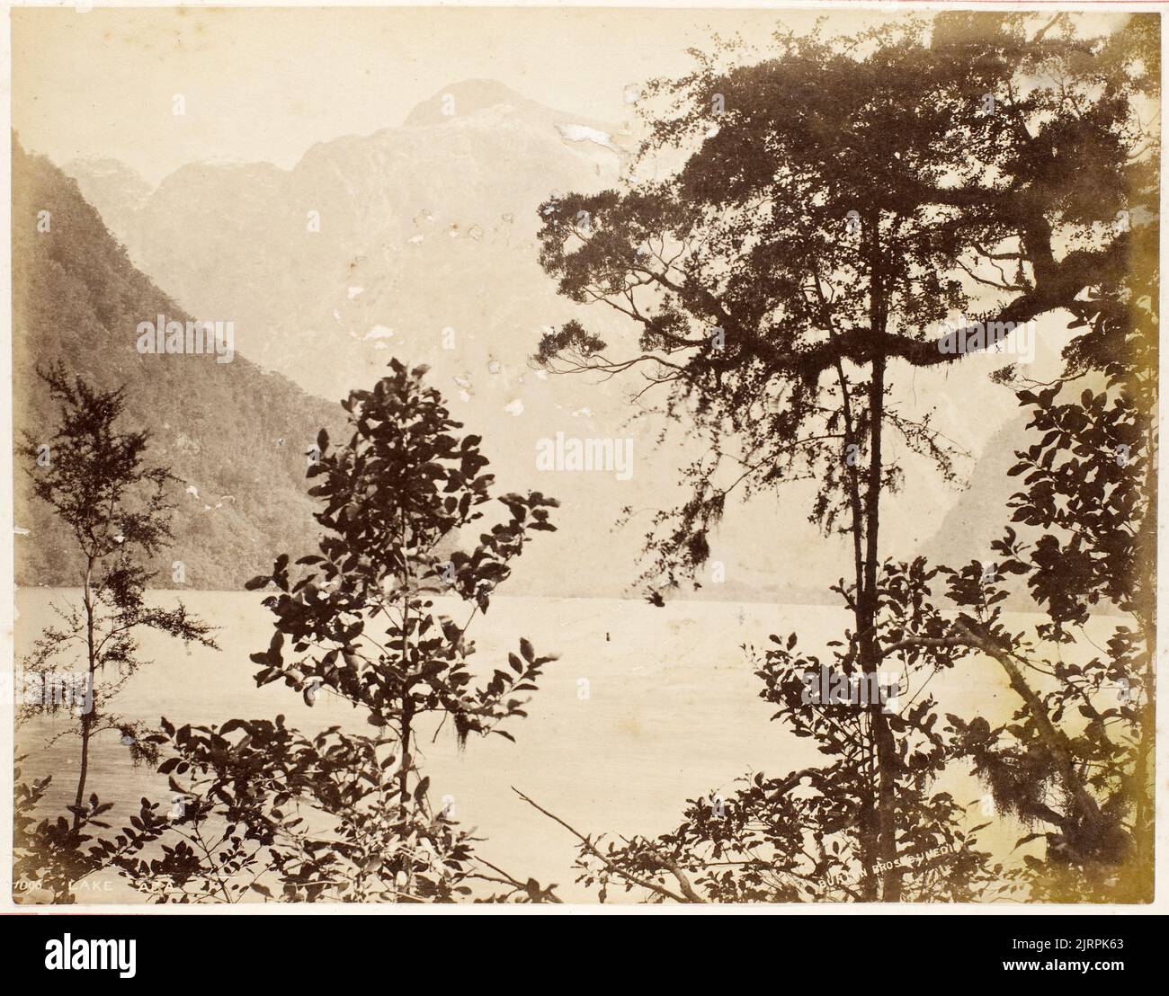Lake Ada, 1800s, Dunedin, by Burton Brothers Stock Photo - Alamy